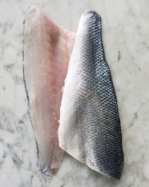 Fresh, Bronzino Fillet, 1lb - Giuseppe's Market