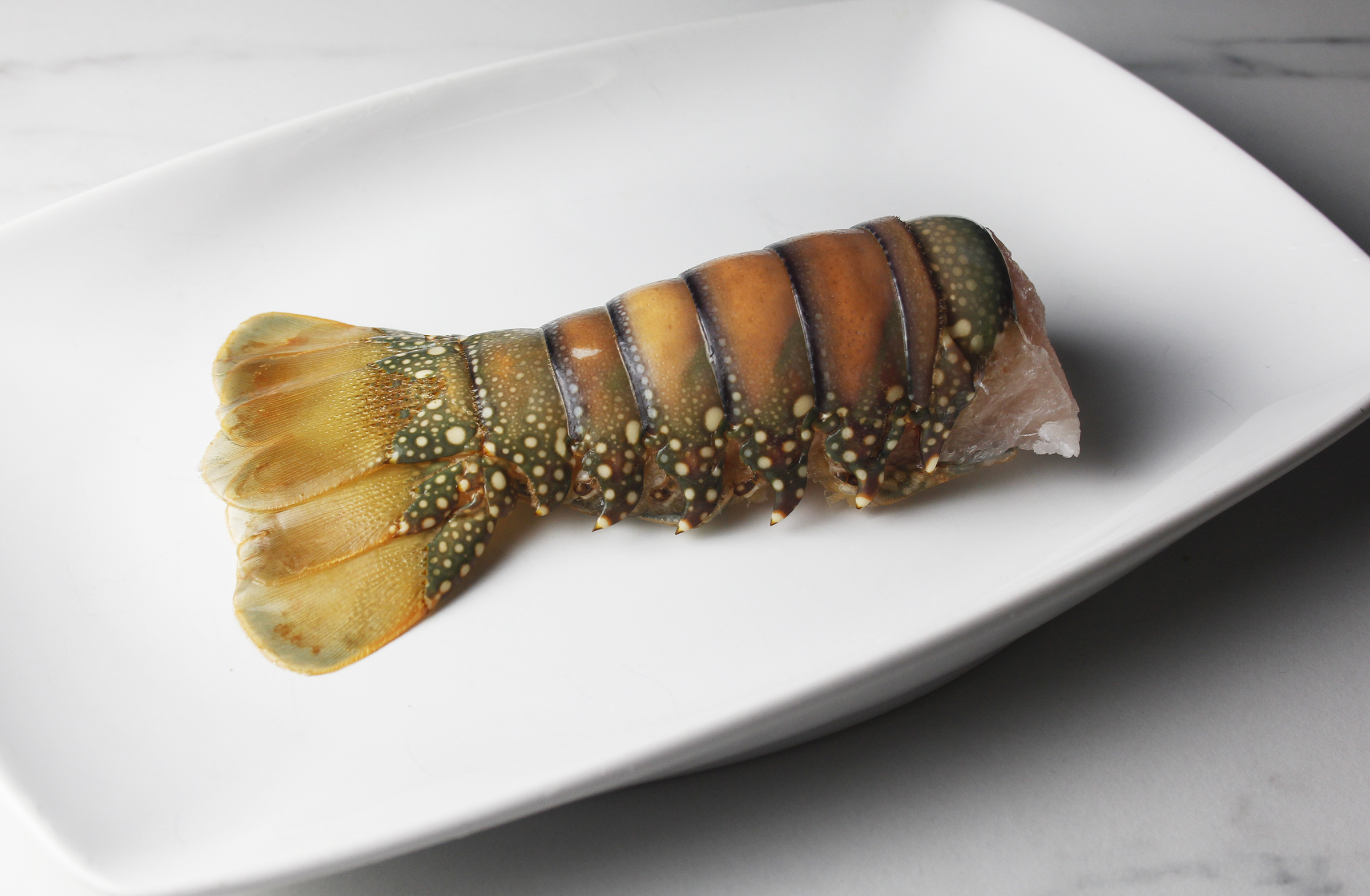 Lobster Tail 12 14 Oz Giuseppe s Market