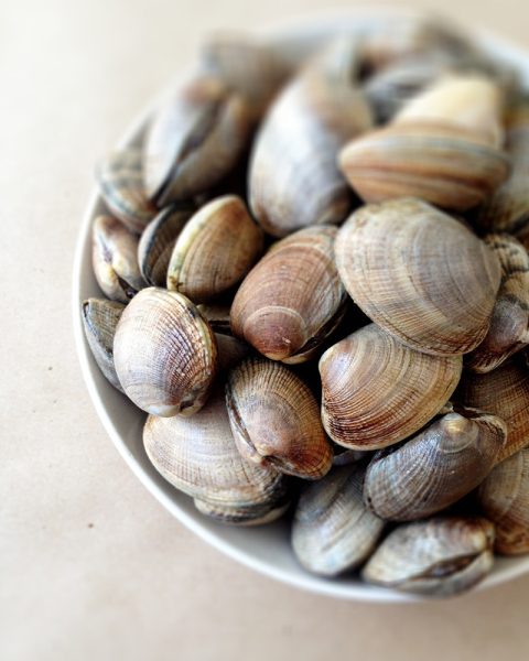 Littleneck Clams in Shell - Frozen - Giuseppe's Market