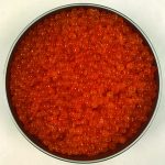 Seafood - Giuseppe's Market